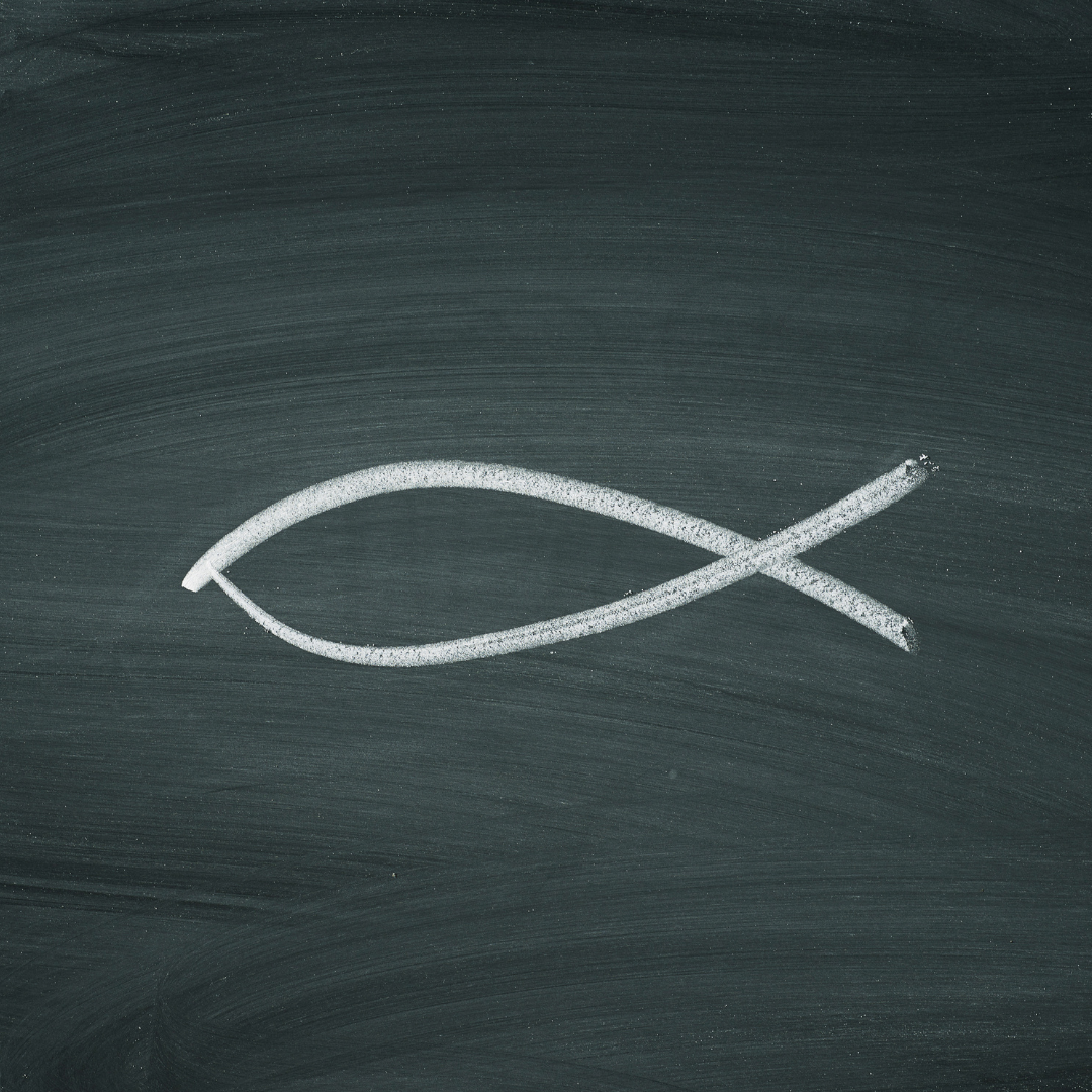 Disciplines of A Disciple | Anchors For Life